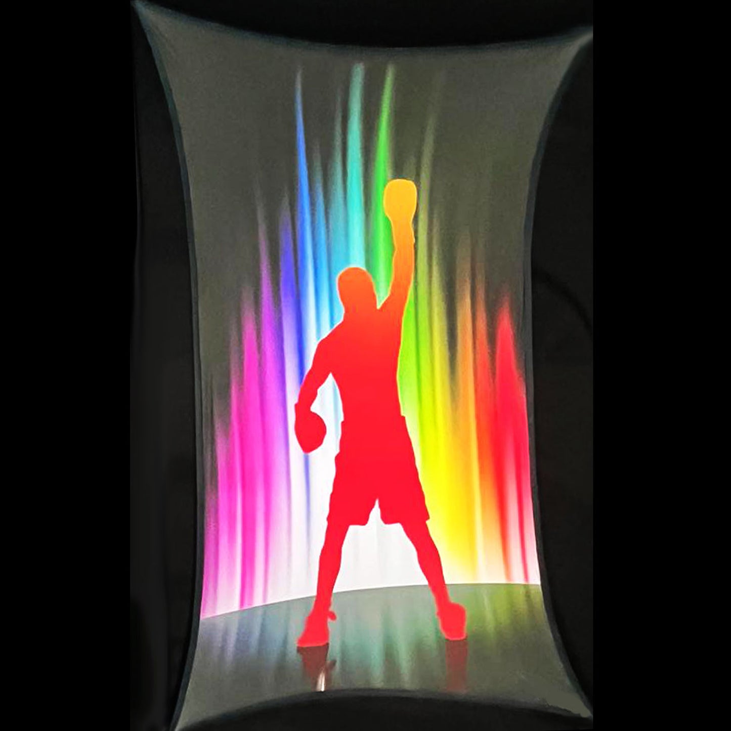 BOXING - 02 – 3DX INC.