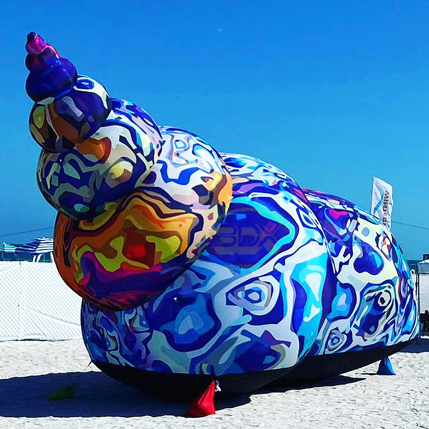 CONCH SHELL - 01 – 3DX INC.