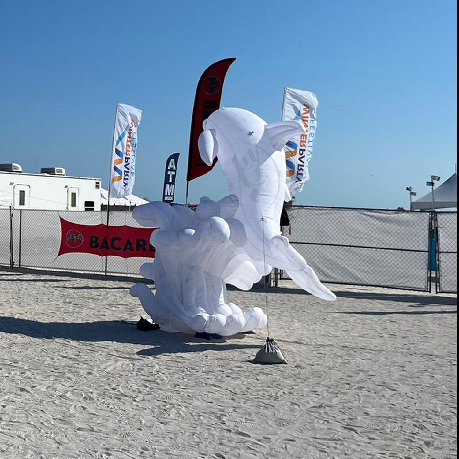 DOLPHIN - 02 – 3DX INC.