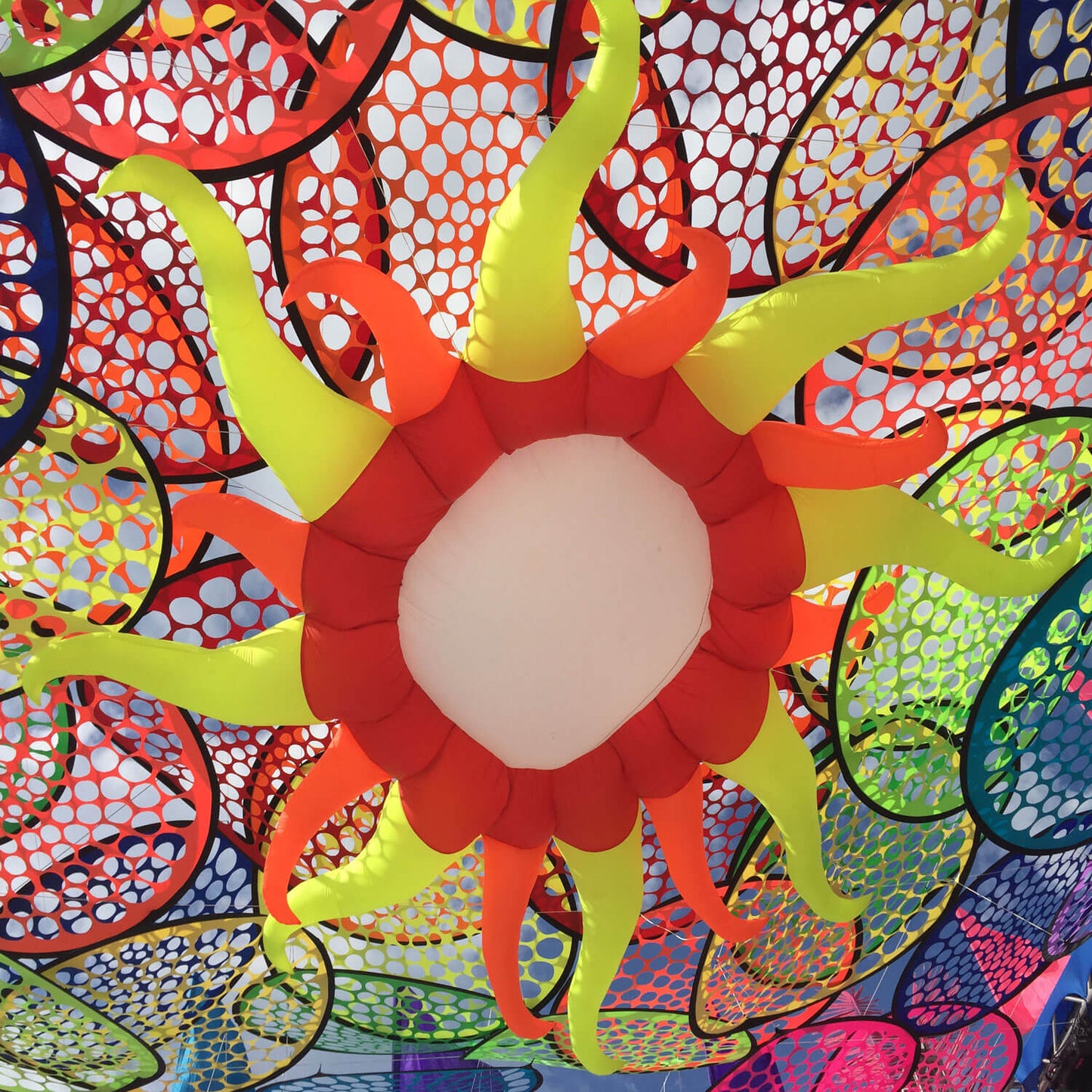 Gallery – 3DX INC.