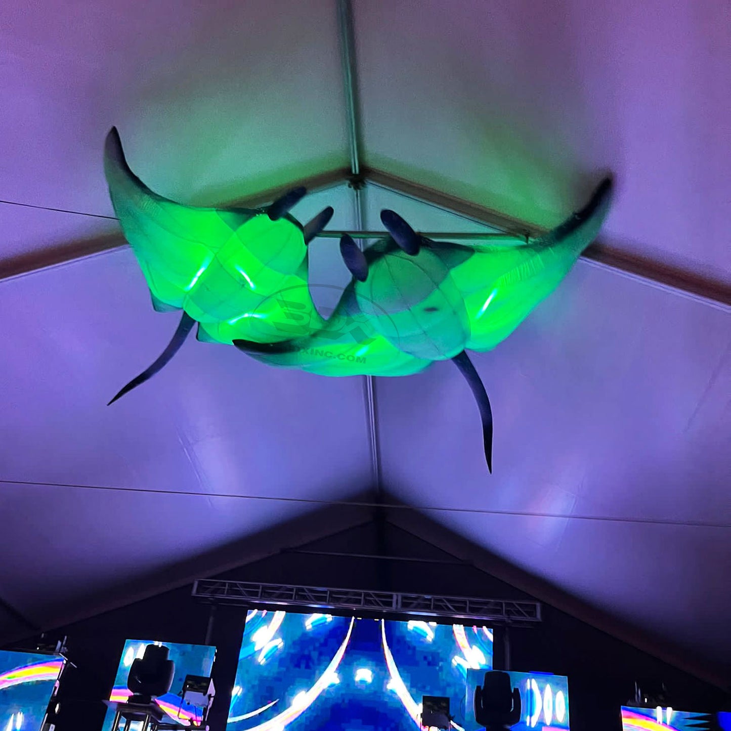 MANTA RAY - 01 – 3DX INC.