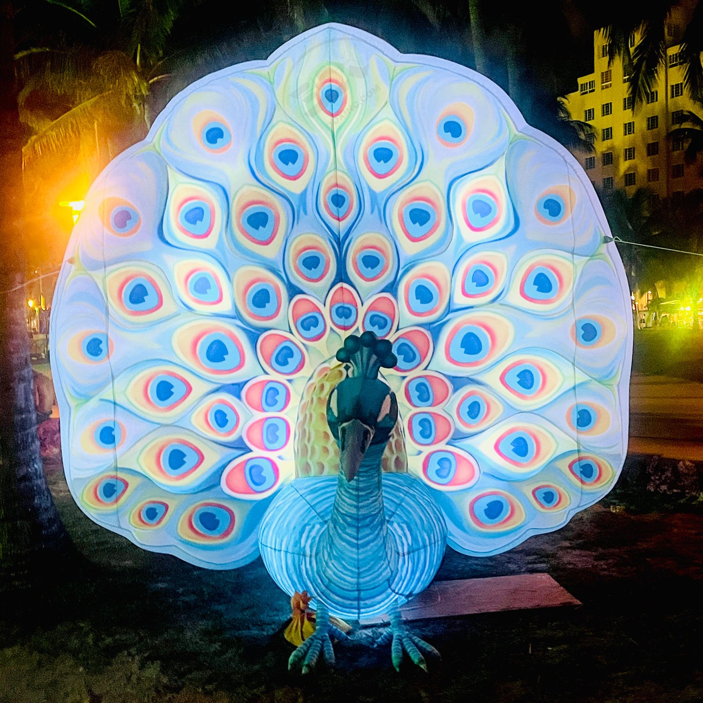 PEACOCK - 01 – 3DX INC.